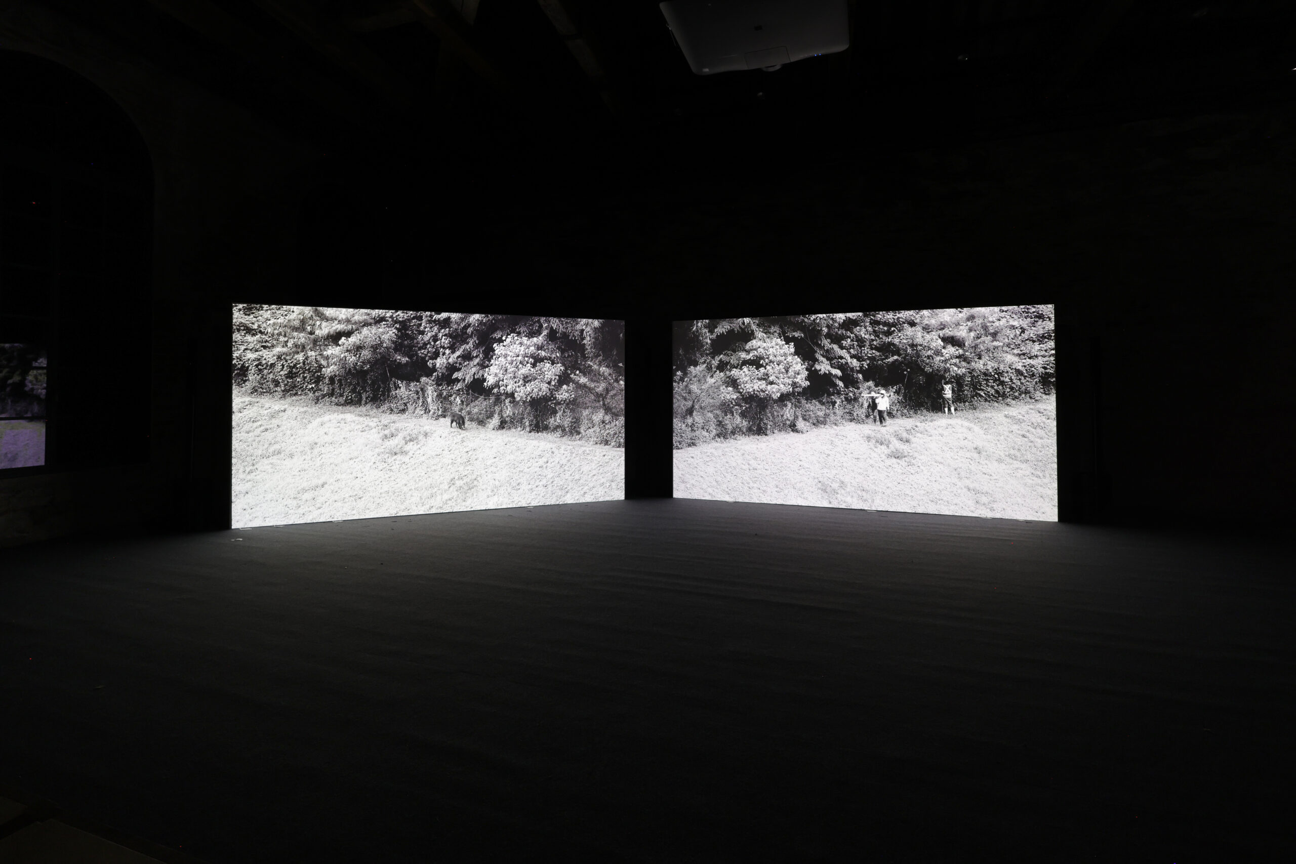 CKG Foundation supports Singapore Pavillion at Venice Biennale ...